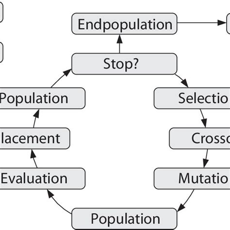 Basic Scheme Of An Evolutionary Algorithm Download Scientific Diagram