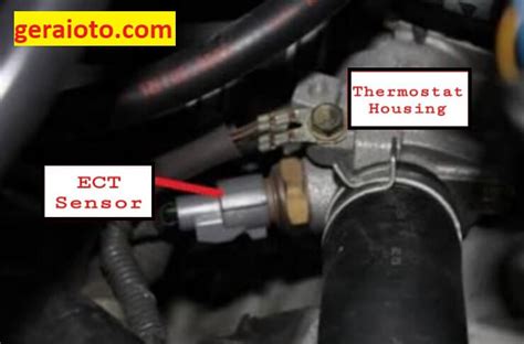 Fungsi Engine Coolant Temperature Sensor 5 Peran Gerai Otomotif