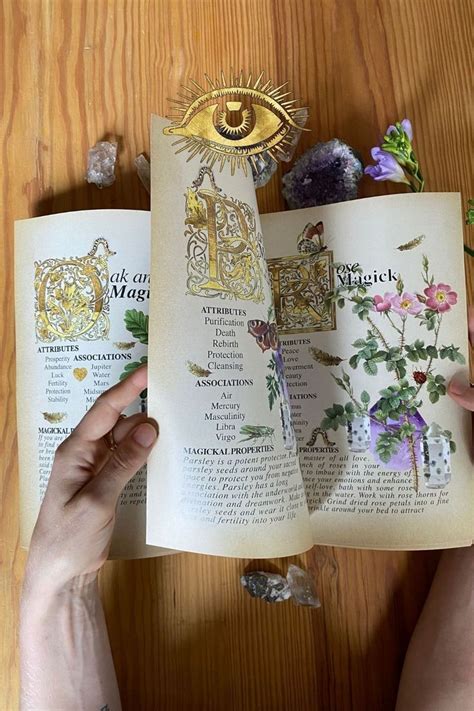 Secret Grimoire Of Plant And Crystal Magick Grimoire Witch Books