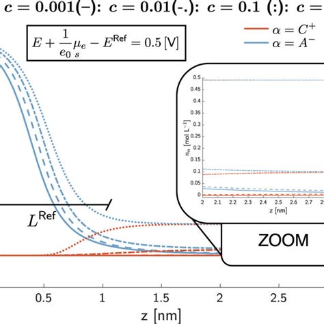 numerical computation of the space charge layer in front of a single