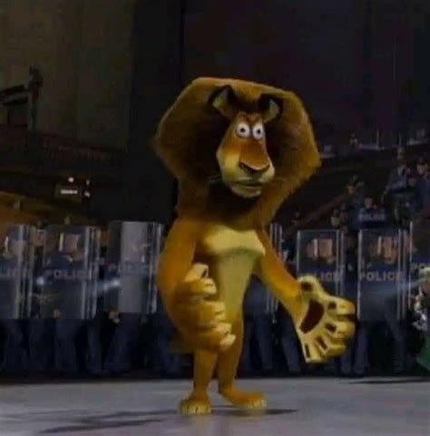 Videosfacebook Viralpost Viralpage Videosdivertidos Fabricantes Sona Gamer