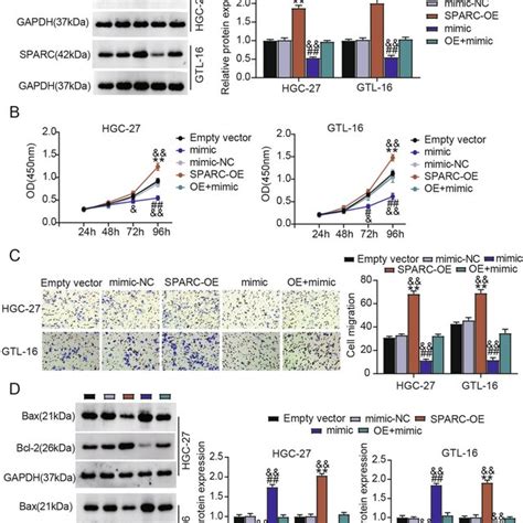 MiR 1275 Regulated Cell Growth Inhibition In GA Treated GC Cells By