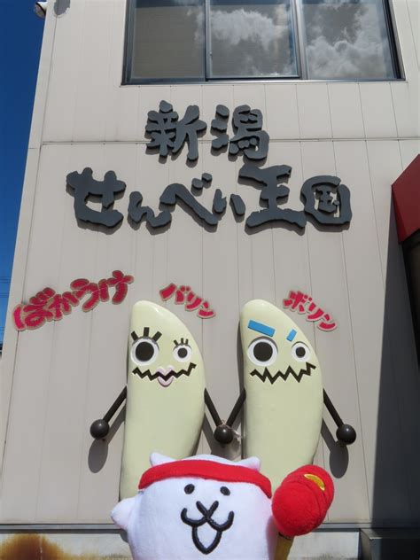 20228】新潟に行ってきたにゃ！（新潟せんべい王国、新潟市歴史博物館、ロッテアライリゾート）1日目』新潟市新潟県の旅行記・ブログ By