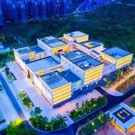 别跑空河源市图书馆春节假期开放时间公布 工作 核酸 图片