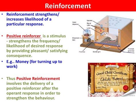 Reinforcement Vs Punishment Vce U4 Psych