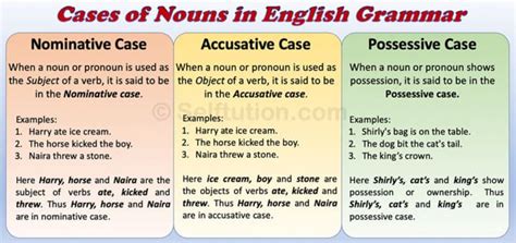 Genitive Case Archives Selftution