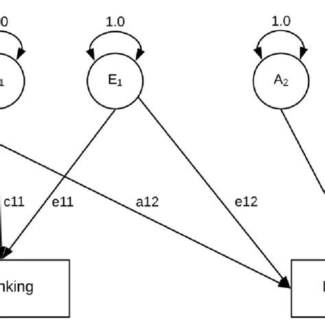 Bivariate Cholesky Decomposition Path Diagram Download Scientific Diagram