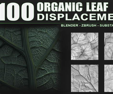 Artstation 100 Organic Leaf Displacement Maps 4k Tileable