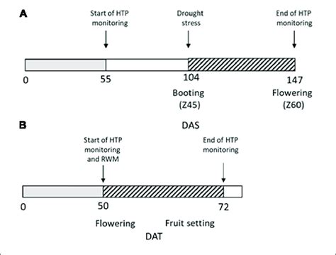 Experimental Design Of The High Throughput Phenotyping Htp