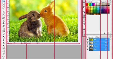 Mengenal Area Kerja Adobe Photoshop Belajar Photoshop