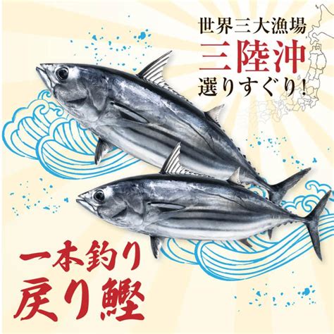 カツオのたたき 大サイズ 3節 タレなし 藁焼き かつお タタキ 高知産 1節約250g 大熊 鰹 冷凍 海鮮 御中元 御歳暮 ギフト クール