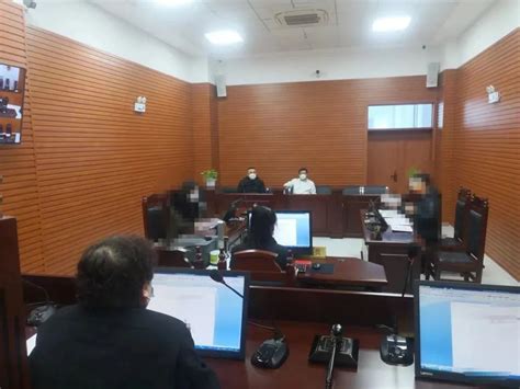 专业调解员旁听庭前调解发表意见成功化解矛盾纠纷澎湃号·政务澎湃新闻 The Paper
