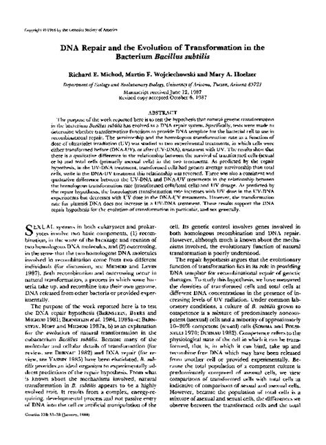 Pdf Dna Repair And The Evolution Of Transformation In Bacillus Subtilis Ii Role Of Inducible