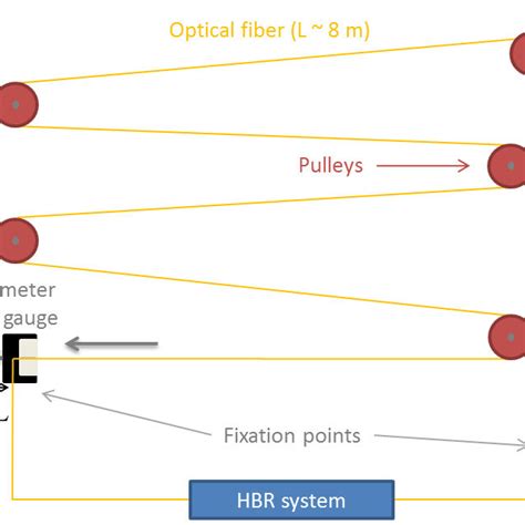 Schematic Representation And Picture Of The Strain Calibration Device Download Scientific Diagram