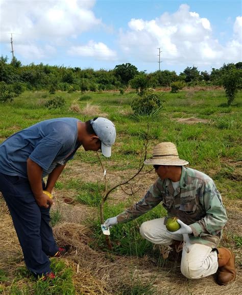 Usda On Linkedin Usda Announces 22 Million To Support Underserved And Veteran Farmers And