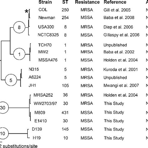 Staphylococcus Aureus Genome Phylogeny And Details Of The Strains And
