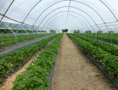 Comissão Europeia cria Pacto Ecológico Europeu Notícias Agrogarante