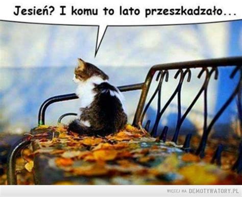 Jesień 2018 Kiedy jest pierwszy dzień jesieni i równonoc jesienna
