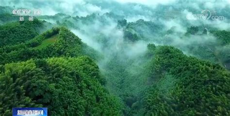 全国生态质量指数纳入生物多样性指标 促进保护原有物种 名木 董明丽 巴中