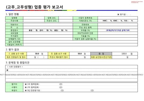 Sq인증마크 고무고무성형 업종 평가 보고서공정감사 종합 보고서협력업체공급처공급업체 공정감사 체크시트공정감사 평가