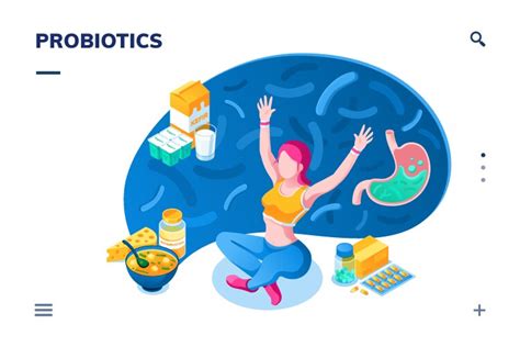 Probiotics Types Poster Royalty Free Vector Image