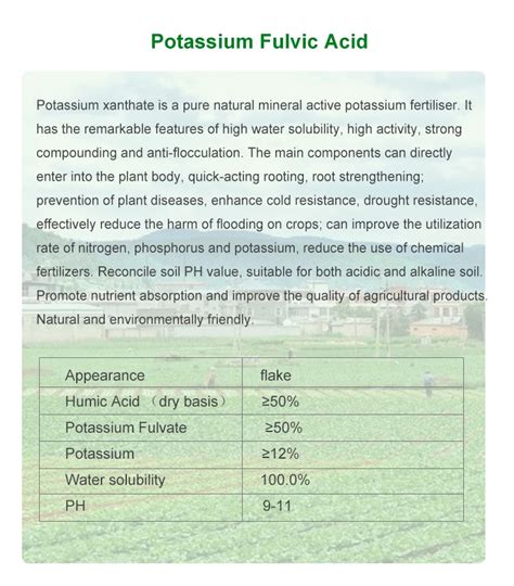 Potassium Fulvic Acid Factory Wholesale Fertilizer 60 Humic Acid Price