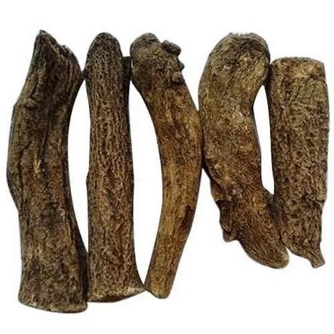 Dried Kuth Root At ₹ 1450kg Costus Root In Chamoli Id 25532132412