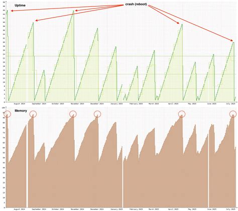 Memory Leak Across All Installed Versions General Mikrotik