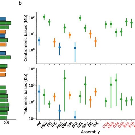 Input Assemblies Considered For The Pangenome Analyses A Autosomal