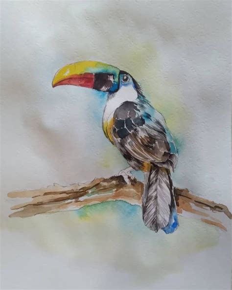 Тукан - картина на Мольберт | Picture, Bird
