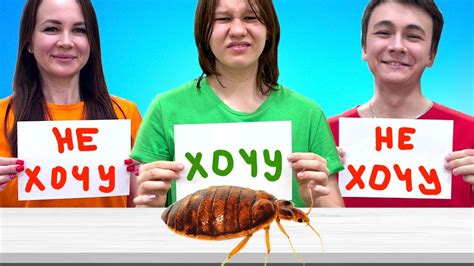 😂ХОЧУ НЕ ХОЧУ ЧЕЛЛЕНДЖ С ШЕДИ ЛЕСКОЙ И НУБОУНИ Youtube