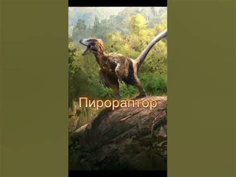 Динозавры из франции 🦖🦕🦖🦕 - YouTube