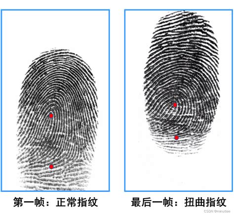 指纹识别与交互基于平面指纹的人机交互系统 Csdn博客