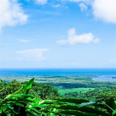 Exploring The Charm Of Mossman A Hidden Gem In Queensland