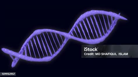나선형의 Dna 가닥 이중 나선 인간 Dna 구조 Dna 가닥 Dna 분자 벡터 그림 0명에 대한 스톡 사진 및 기타 이미지