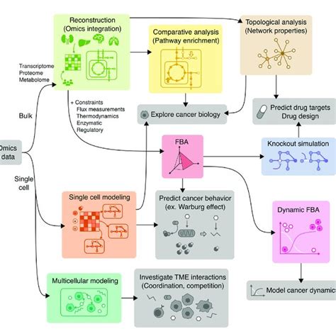 applications of cobra methods to cancer research workflow diagram of