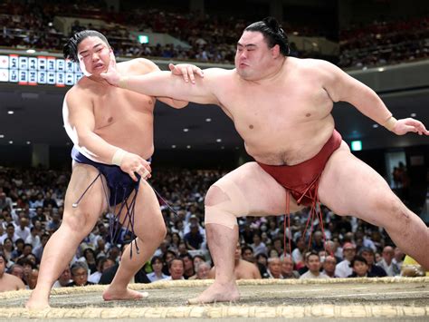 平戸海連敗止め5勝内容は全然ダメだけど立ち合いは踏み込めた三役で2場所連続2桁白星へ 大相撲写真ニュース 日刊スポーツ