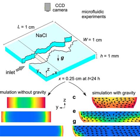 Dissolution Regimes A The Symmetry Of Fracture Dissolution