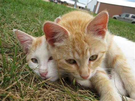 Fam Reunion Kristm Flickr