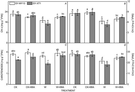 Effects Of 6 Benzyladenine 6 Ba On A Chlorophyll Chl A B Chl