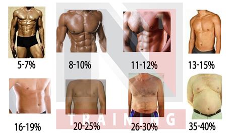 Body Fat Percentage Body Types At Ava Ewers Blog