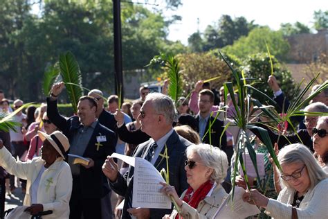Liturgy Of The Palms Palm Sunday St Johns Episcopal Church