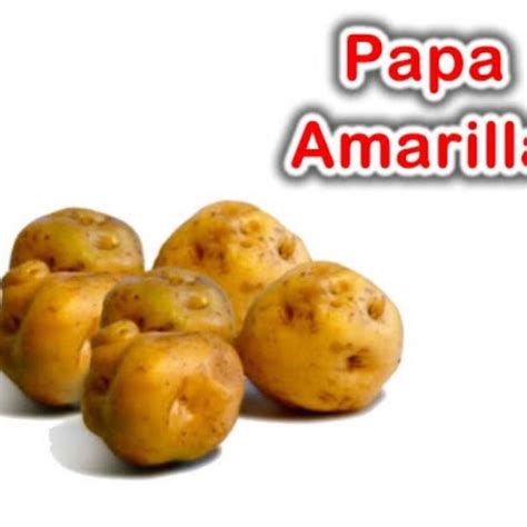 Vendemos Papa Amarilla AgrÍcola Ross Inkill B2perú