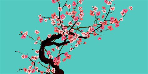 100 Arizona Tea Wallpapers