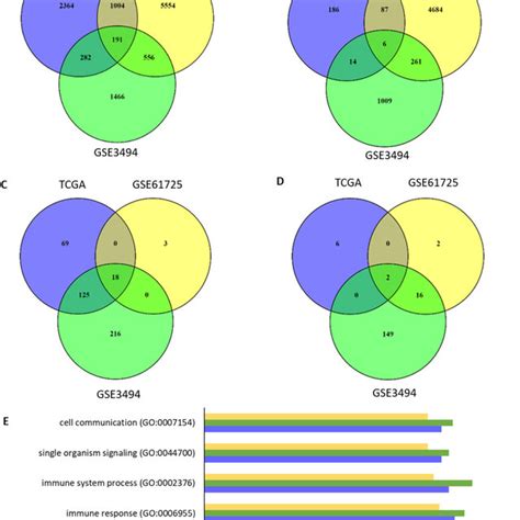 Tp53 Rna Expression Associates With Cell Proliferation And Immune