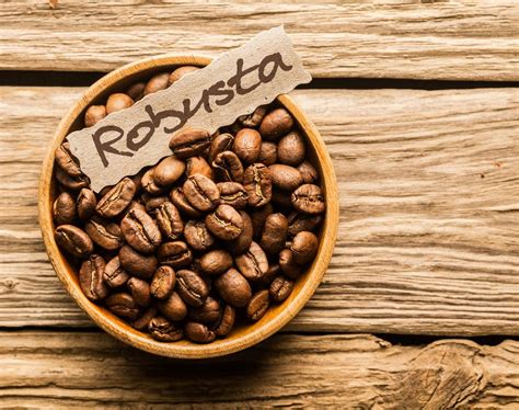 Cà Phê Robusta Là Gì Cách Phân Biệt Chế Biến Và Giá cafe robusta