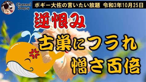 逆恨み古巣にフラれ憎さ百倍 ボギー大佐の言いたい放題 2021年10月25日 21時頃 放送分 Youtube