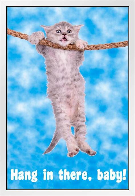 Hang In There Poster Dog