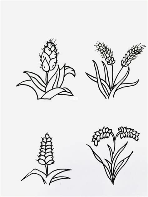 收割机割麦子简笔画 简笔画图片大全 普车都