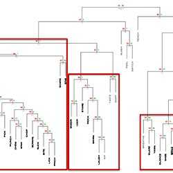 Hierarchical Clustering Of Action Verbs Based On Hawik Adjacency Matrix
